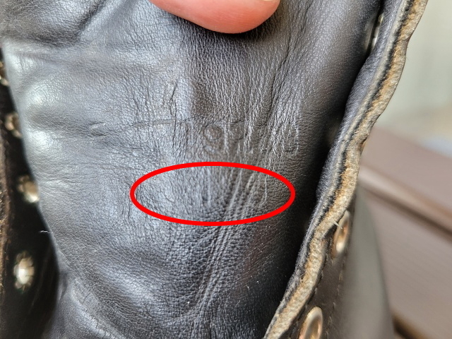 Redwing8179丸洗い: DJ椿の独り言